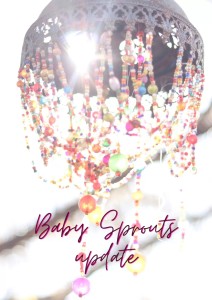 Baby Sprouts Update August 2022